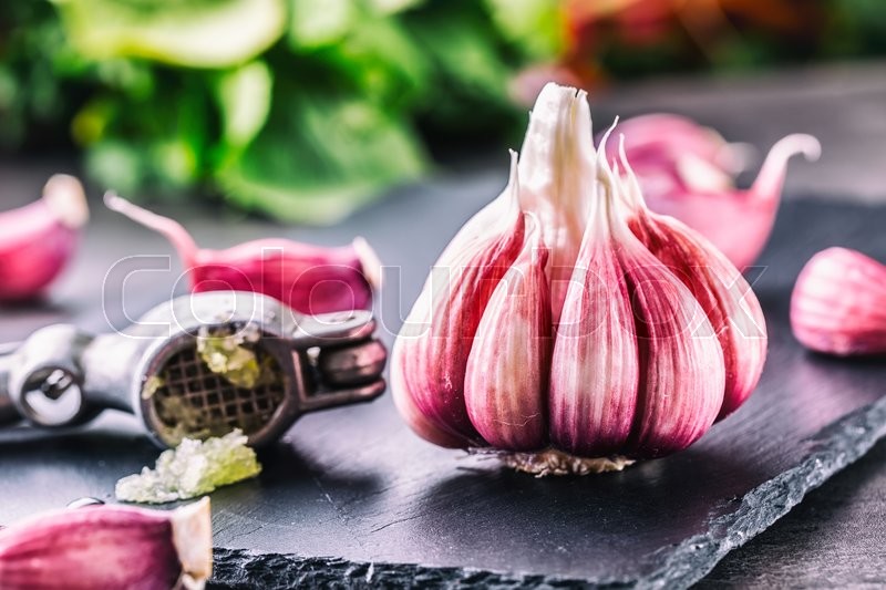 Garlic. Fresh garlic. Red garlic. ... | Stock image | Colourbox