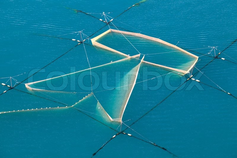 Fishing nets in a sea | Stock image | Colourbox