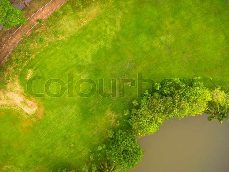 Natural grass texture, Aerial view of ... | Stock image | Colourbox