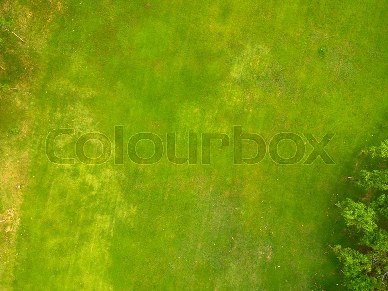 Natural grass texture, Aerial view of ... | Stock image | Colourbox