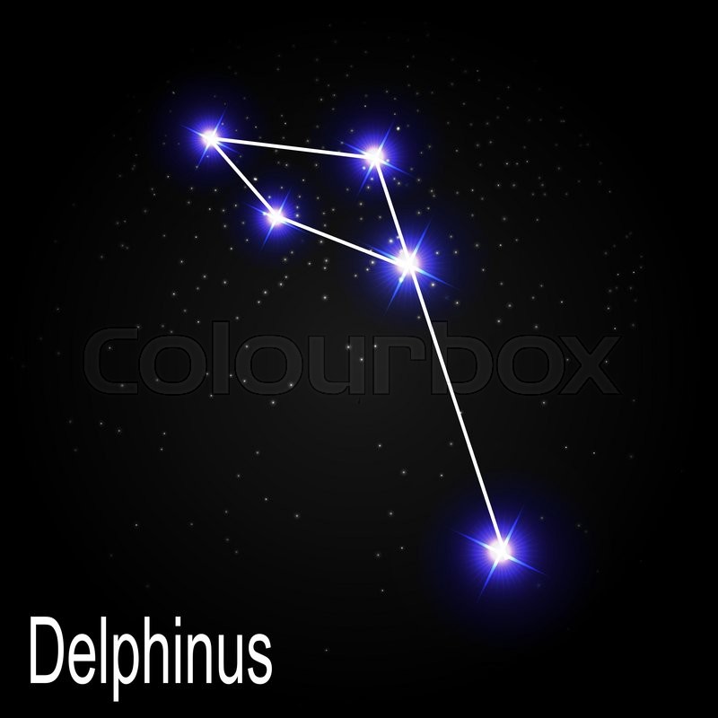 Delphinus Constellation with Beautiful ... | Stock vector | Colourbox