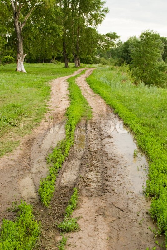 Puddle on a rural road | Stock image | Colourbox