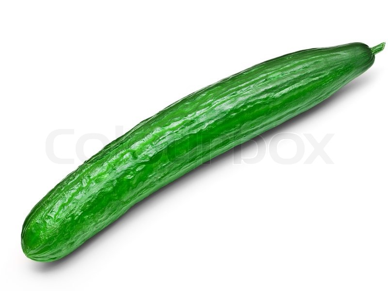 One cucumber isolated on white background | Stock Photo | Colourbox