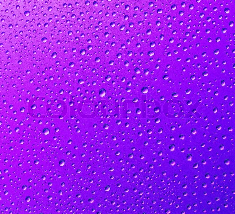 Beautiful violet water drops background | Stock Photo | Colourbox