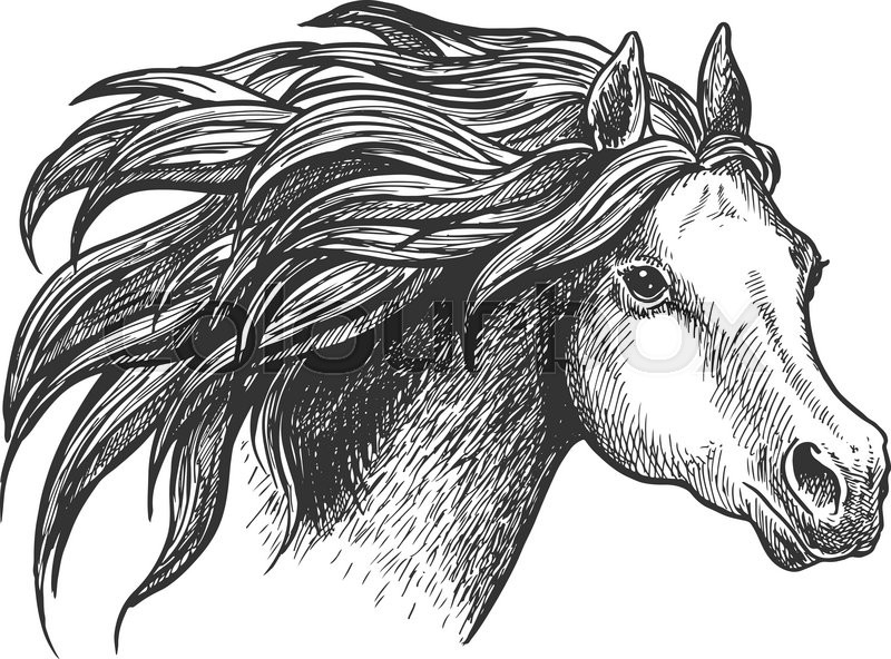 Running Horse Head Outline