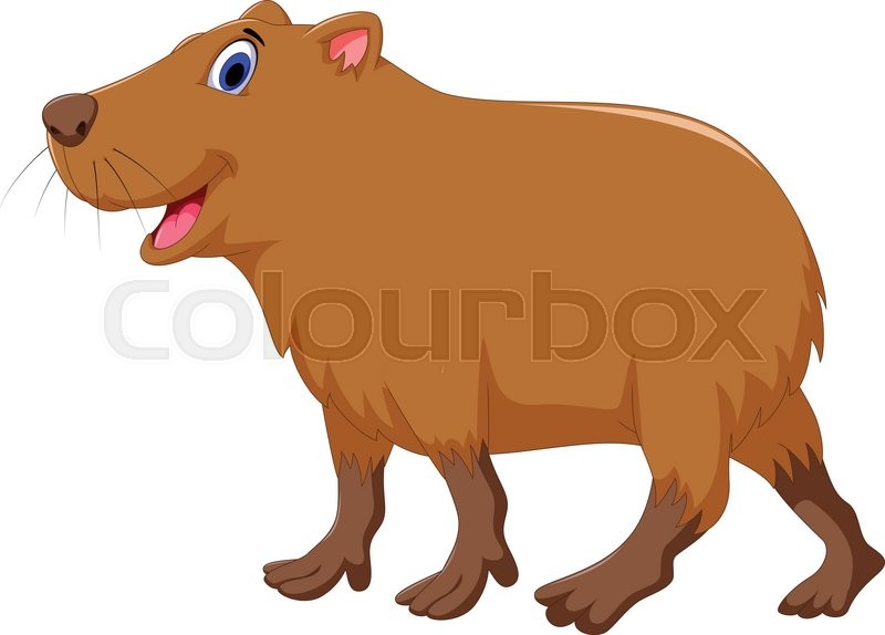 Vector illustration of Capybara ... | Stock vector | Colourbox
