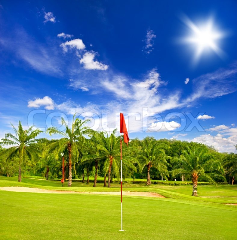 Golf field with palm trees over blue ... | Stock image | Colourbox