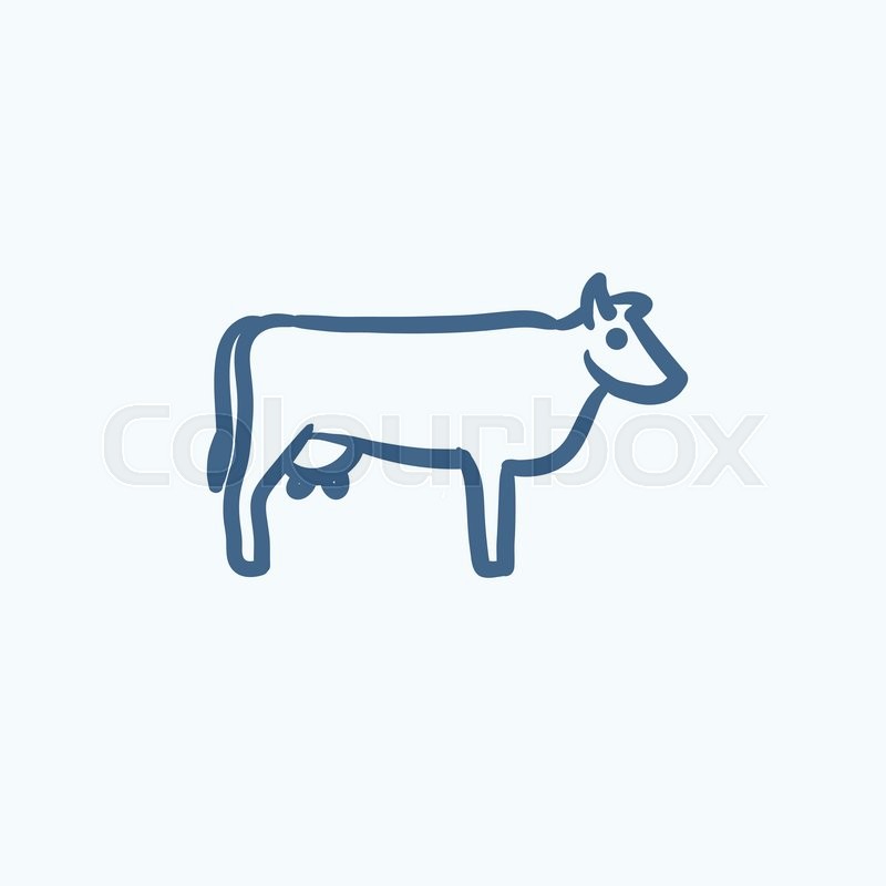 Cow sketch icon for web, mobile and ... | Stock vector | Colourbox