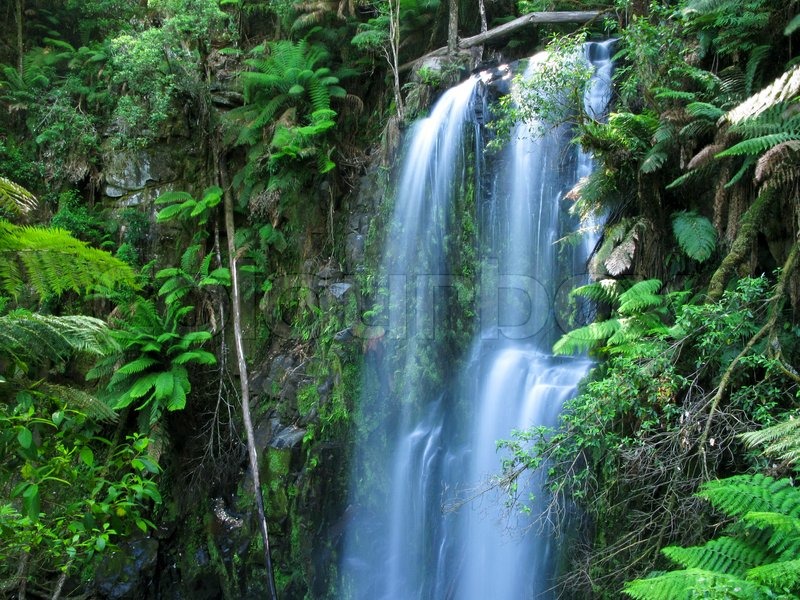 Medium sized water fall in a rain ... | Stock image | Colourbox