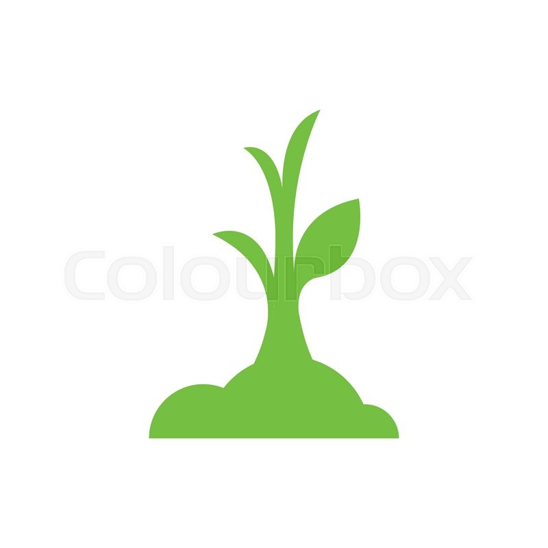 Sapling icon | Stock vector | Colourbox