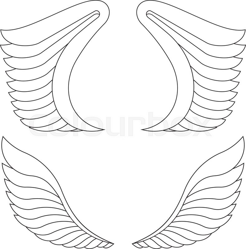 Two pairs of outlined vector wings. | Stock vector | Colourbox