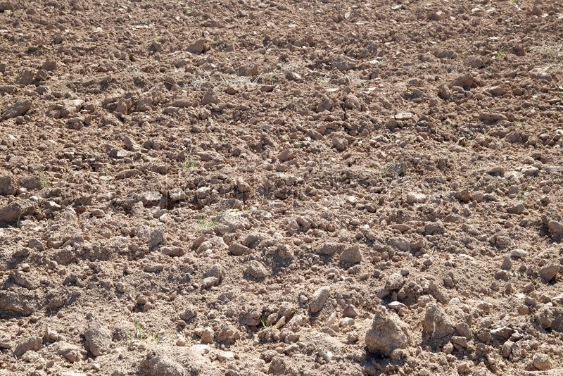 Texture of a plowed field, Zaragoza ... | Stock image | Colourbox