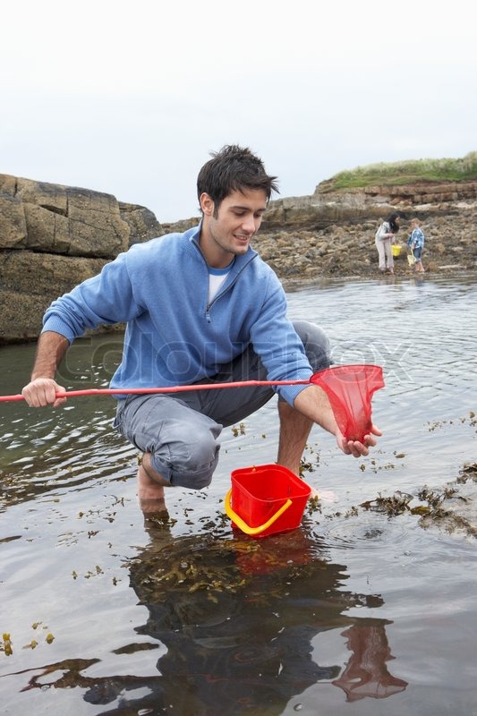 Young family at beach collecting shells | Stock image | Colourbox
