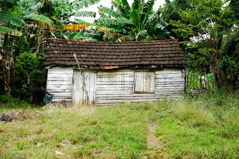 Miserable shack, house. Worn and ... | Stock image | Colourbox