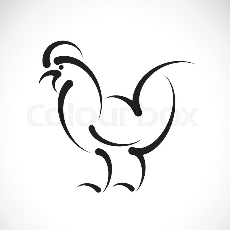 Vector image of an chicken design on ... | Stock vector | Colourbox