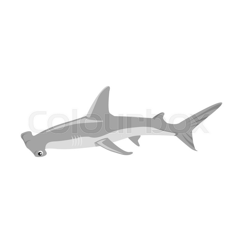 Hammerhead shark icon isolated on ... | Stock vector | Colourbox