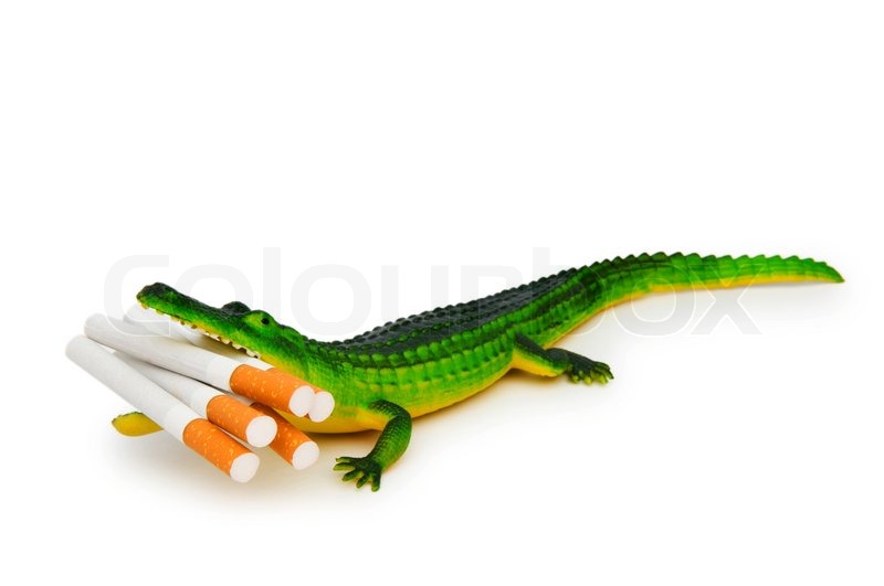 Crocodile with cigarettes isolated on ... | Stock image | Colourbox