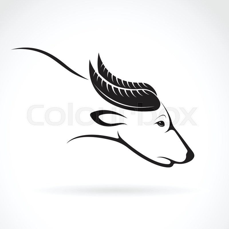 Vector image of an buffalo design on ... | Stock vector | Colourbox