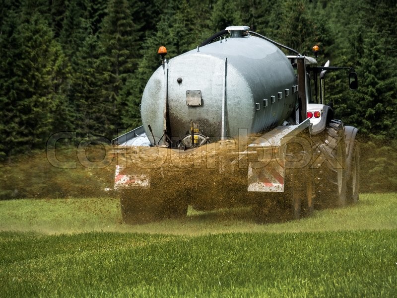 A farmer goes with manure on a field ... | Stock image | Colourbox