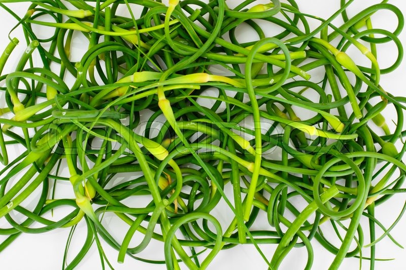 Green Stalks of Garlic Studio Photo | Stock image | Colourbox