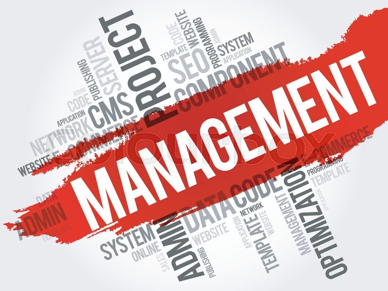 MANAGEMENT word cloud, business ... | Stock vector | Colourbox