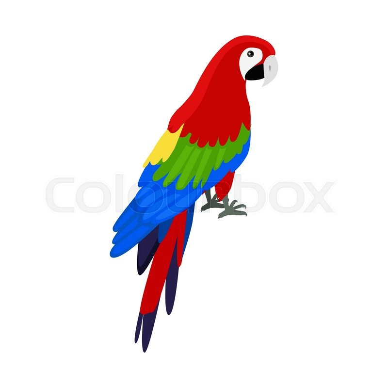 Ara parrot vector. Birds of Amazonian ... | Stock vector | Colourbox