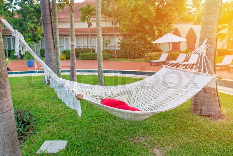 Hammocks in Luxury swimming pool for ... | Stock Photo | Colourbox