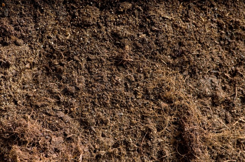 Close up des Bodens - können als ... | Stock Bild | Colourbox