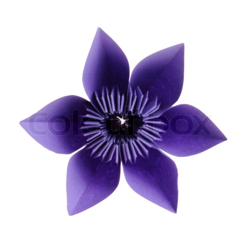 Origami flower from violet paper ... | Stock image | Colourbox