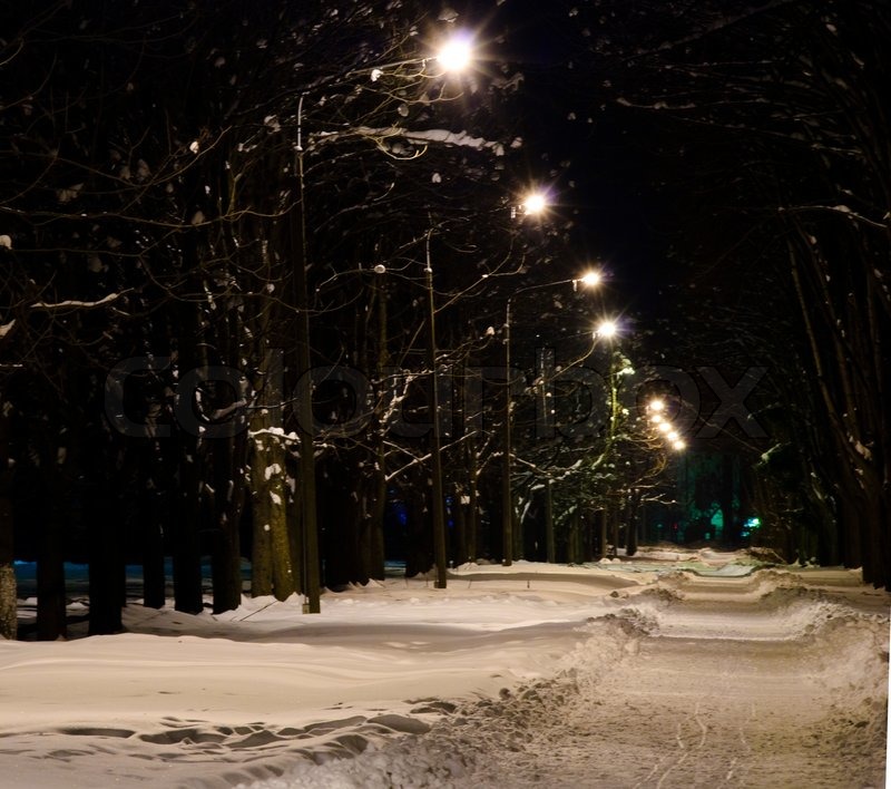 Night park's alley under the snow ... | Stock image | Colourbox