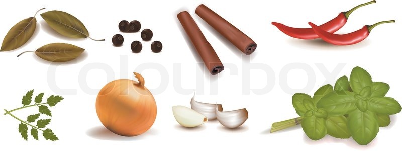 Spices. Vector. | Stock vector | Colourbox