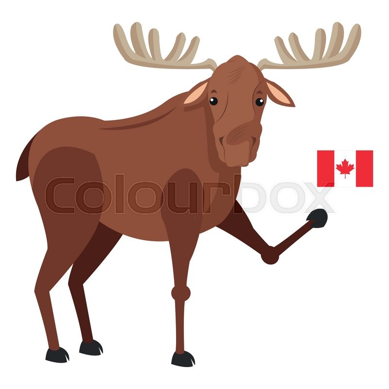 Flat design single moose with canadian ... | Stock vector | Colourbox