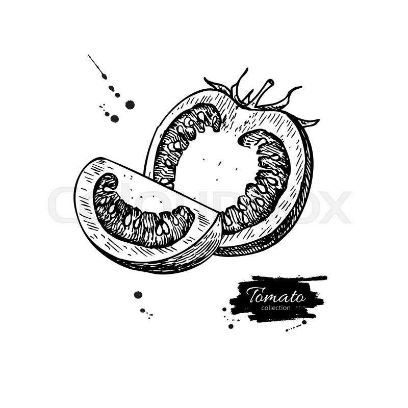 Sliced Tomatoes Drawing