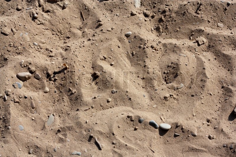 Sand with pebbles in the background | Stock image | Colourbox