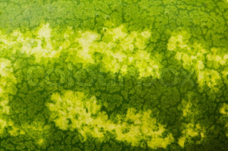 Watermelon Skin Background