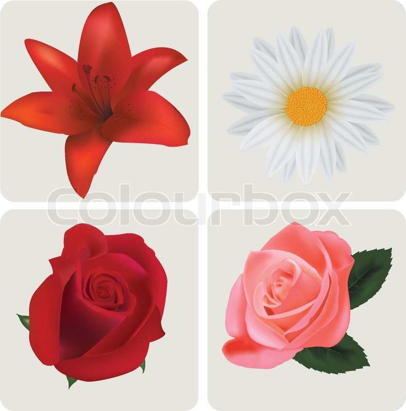 Four beautiful flowers. Vector. | Stock vector | Colourbox