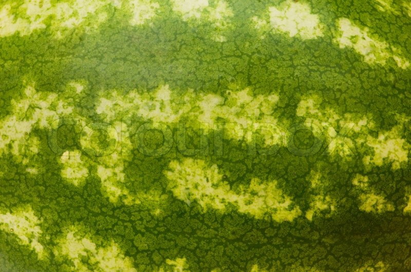 Watermelon Skin Texture