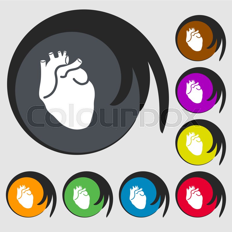 Human heart sign icon. Symbols on ... | Stock vector | Colourbox