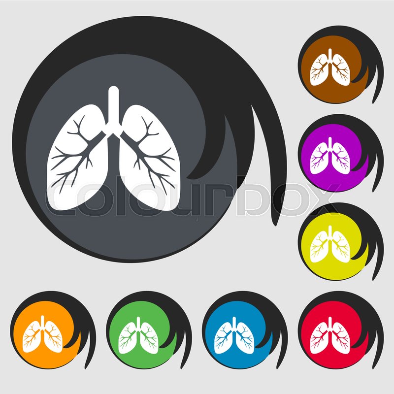 Lungs sign icon. Symbols on eight ... | Stock vector | Colourbox