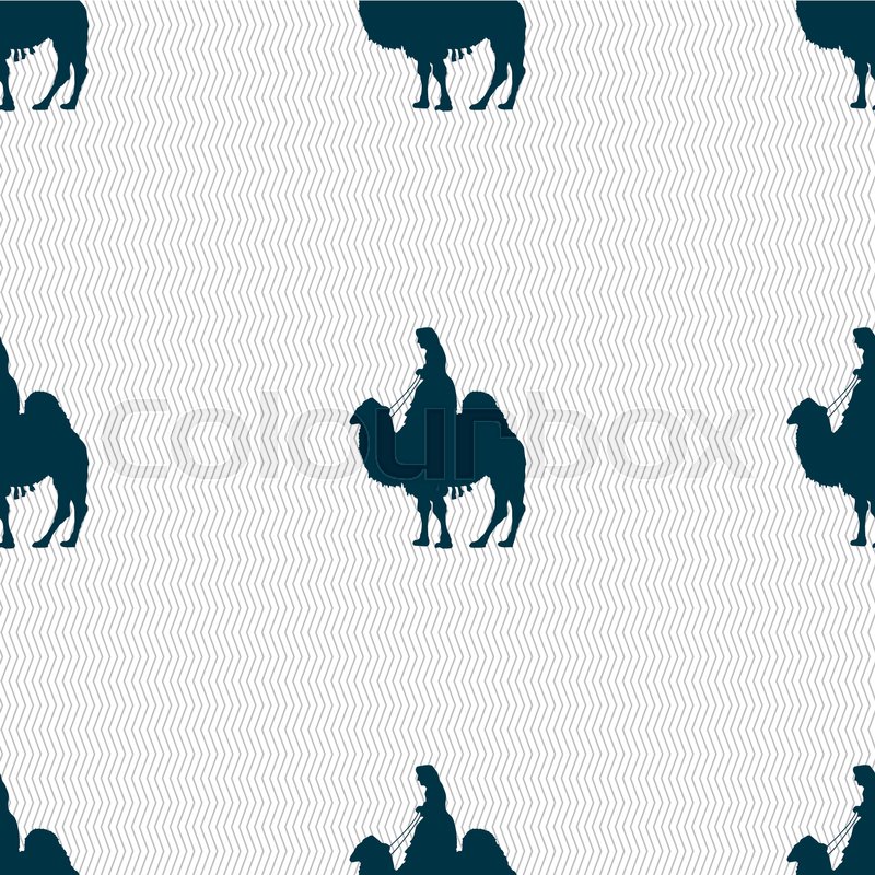 Camel sign. Seamless pattern with ... | Stock vector | Colourbox