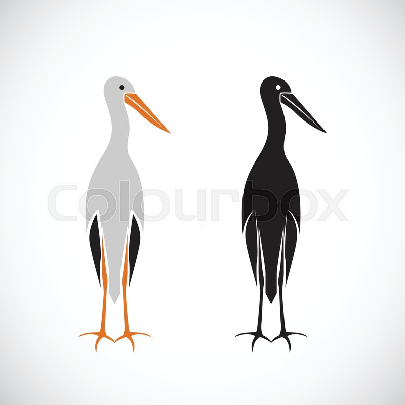 Vector of stork design on white ... | Stock vector | Colourbox