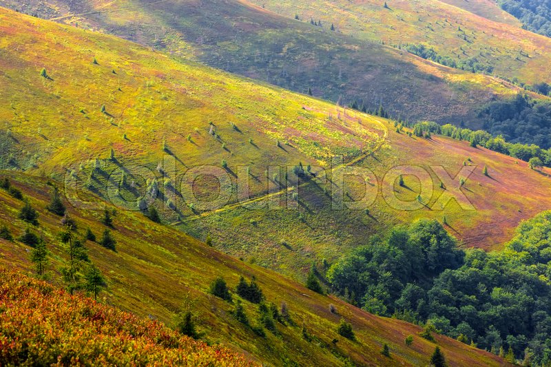 Slope of mountain range with forest and ... | Stock image | Colourbox