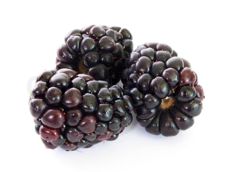 Köstlich, beere, schwarz | Stockfoto | Colourbox