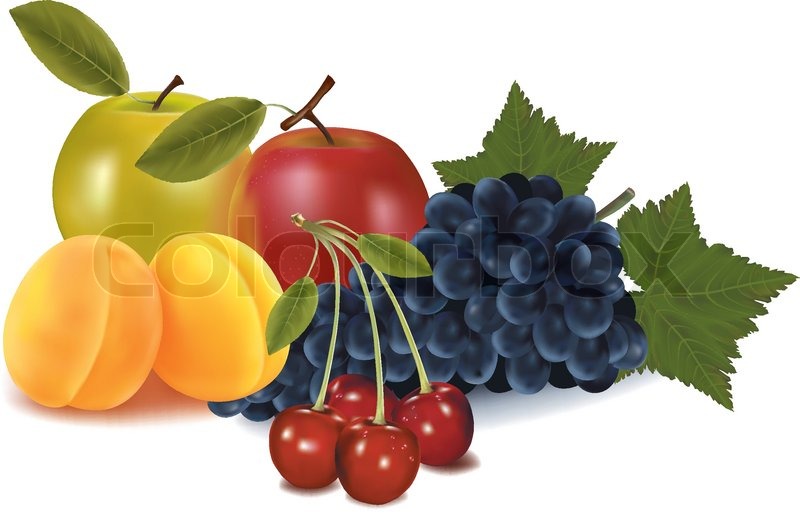 Fotorealistische Vektor-Illustration. | Stock-Vektor | Colourbox