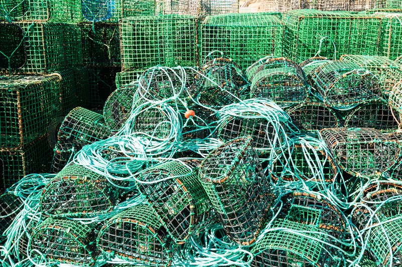 Green traps for catching octopus and ... | Stock image | Colourbox