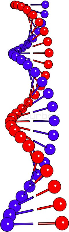 DNA shapes molecule on white ... | Stock vector | Colourbox