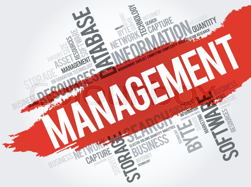 Management word cloud, business ... | Stock vector | Colourbox