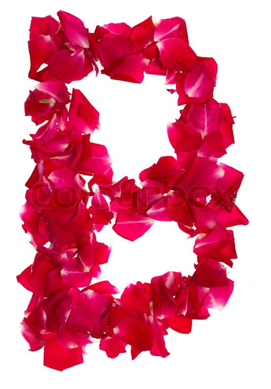 Rosa RosenBlüten bilden Buchstabe b | Stock Bild | Colourbox
