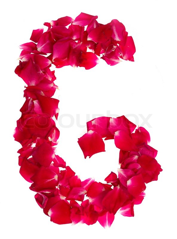 Pink rose petals forming letter G | Stock image | Colourbox