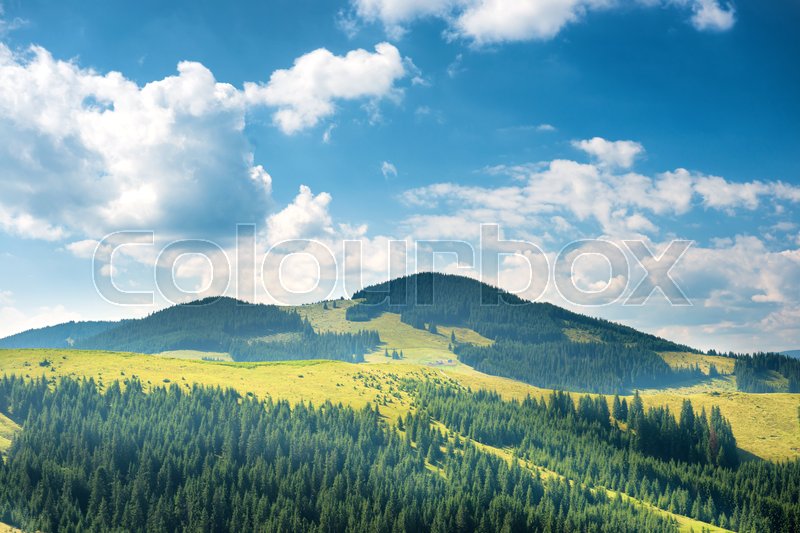 Green sunny valley in mountains and ... | Stock image | Colourbox
